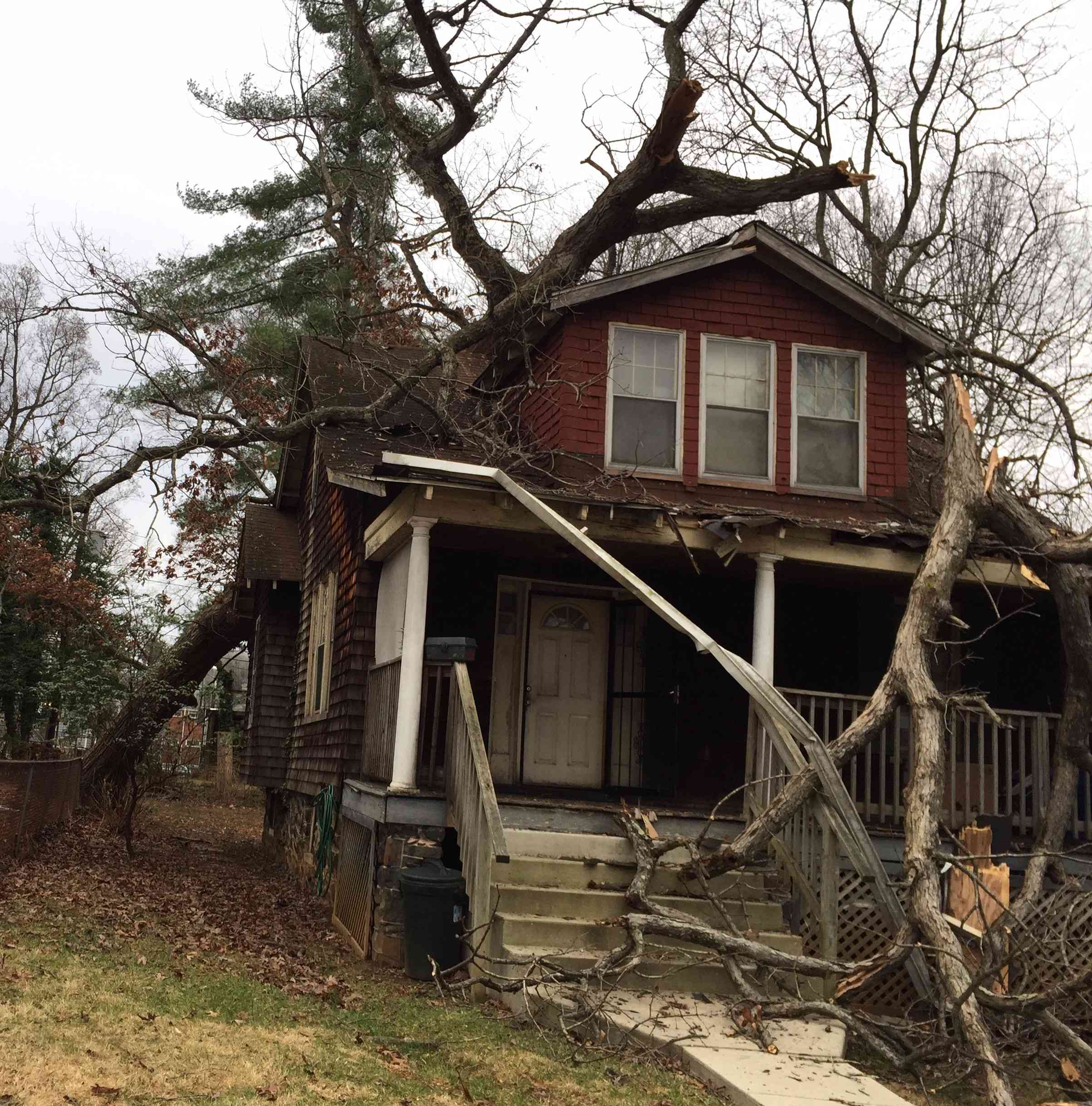 Before & After Photos